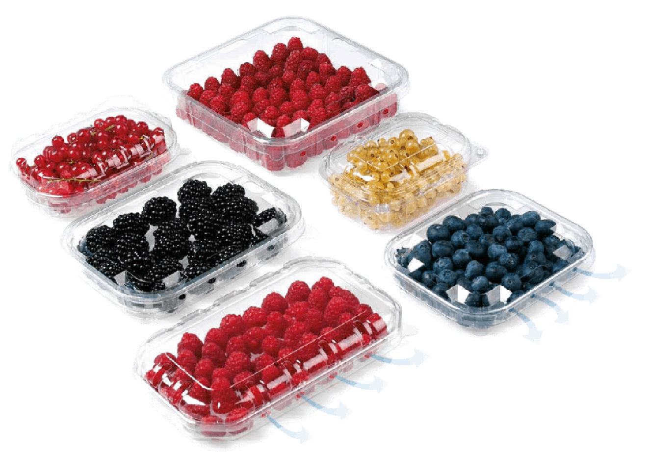 Caserole kit R-PET fructe si legume - LUPACK